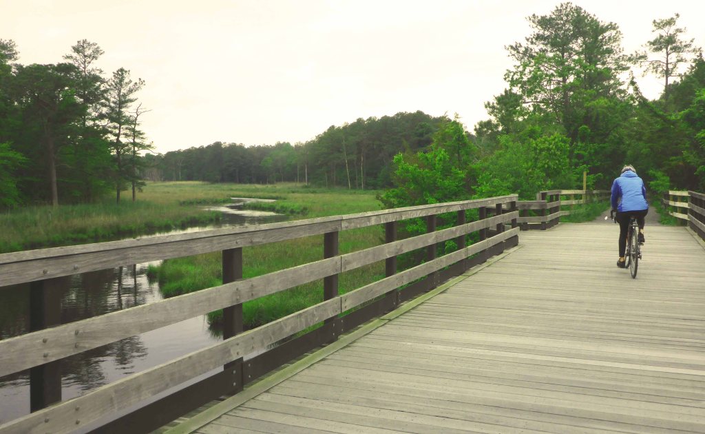 Between Lewes and Rehoboth; Biking the Breakwater-Junction Trail – Let ...