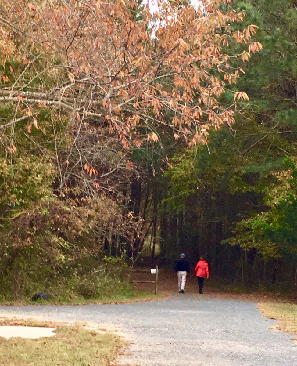 Fresh Pond State Park – Prickly Pear Trail – Let's Take This Outside